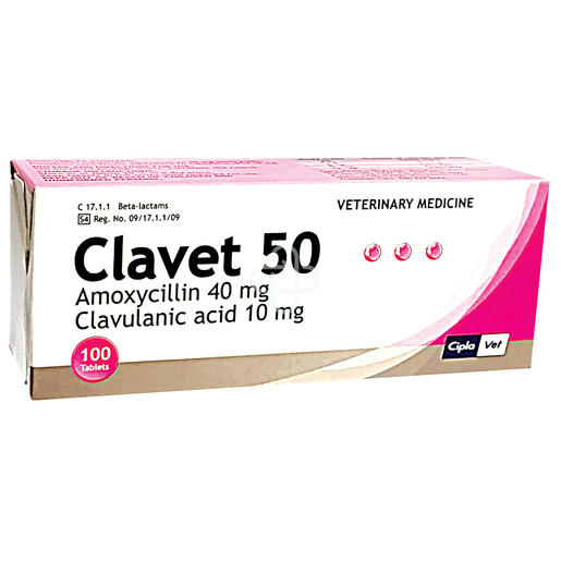 Transpharm