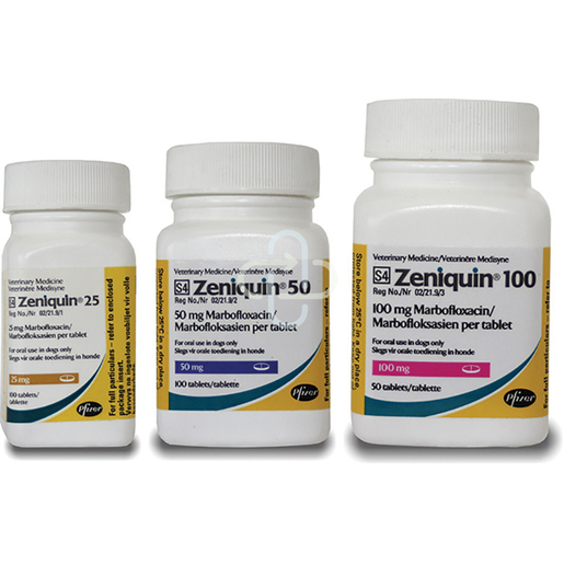 Transpharm